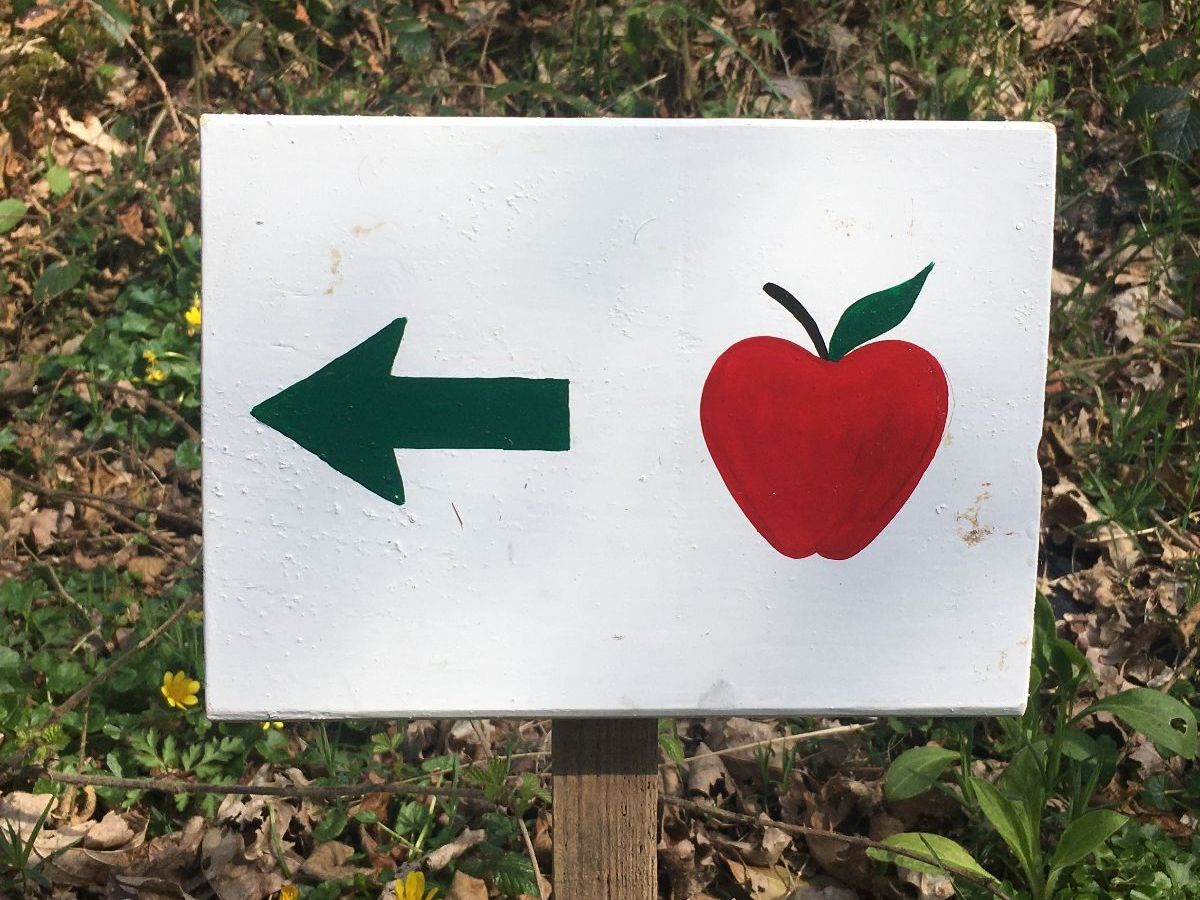 Sign Writing Workshop | Dyfed Permaculture Farm Trust