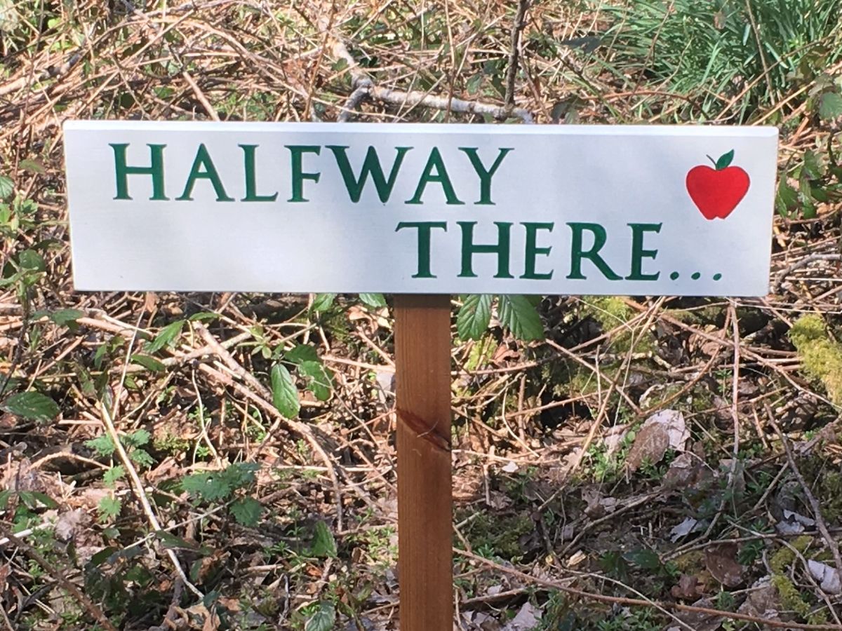 Sign Writing Workshop | Dyfed Permaculture Farm Trust